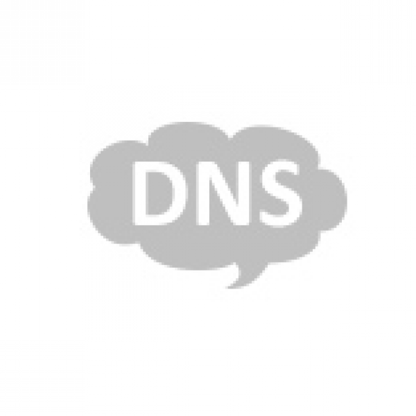 Dns Server Raspberry Pi Colocation